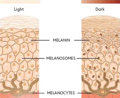 NanoMD® Bright to brighten your skin – Kelly Siew Cooks